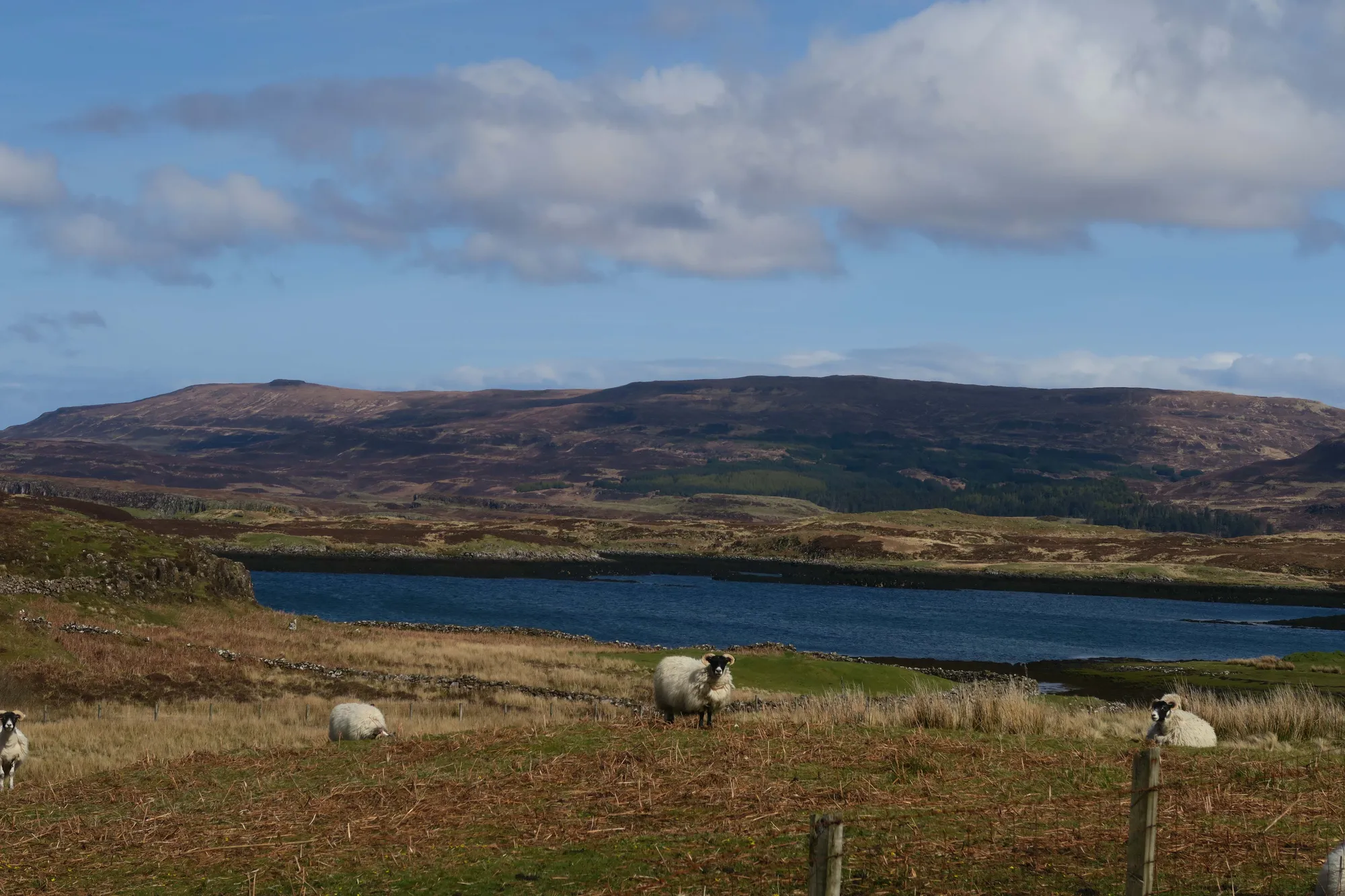 Land for sale in Plot A 11 Skinidin, Dunvegan, Isle of Skye IV55 8ZS ...